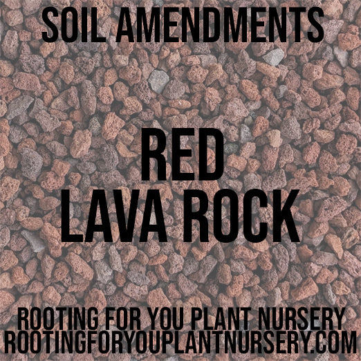 Red Lava Rock Soil Amendment – Rooting For You Plant Nursery