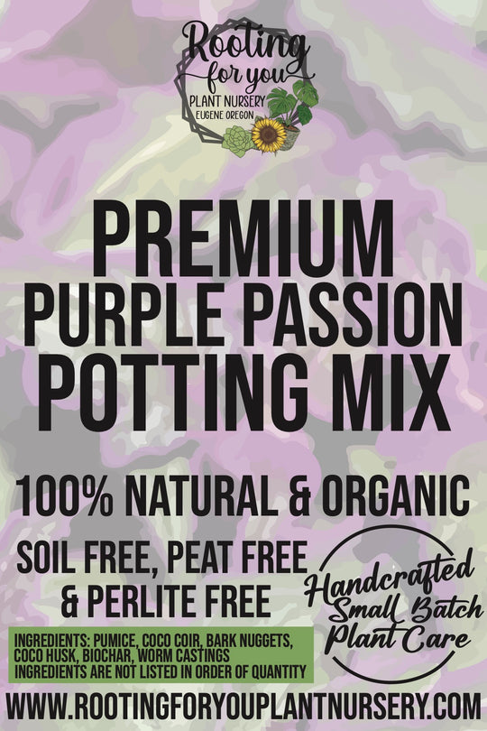 Purple Passion Premium Potting Mix – Rooting For You Plant Nursery